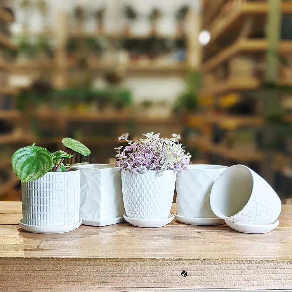 Virago 5" Planter Pots – Habitat Plants + Coffee