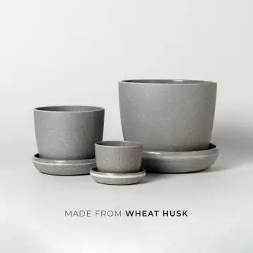 Wheat Husk Natural Upcycled Planter – Habitat Plants + Coffee