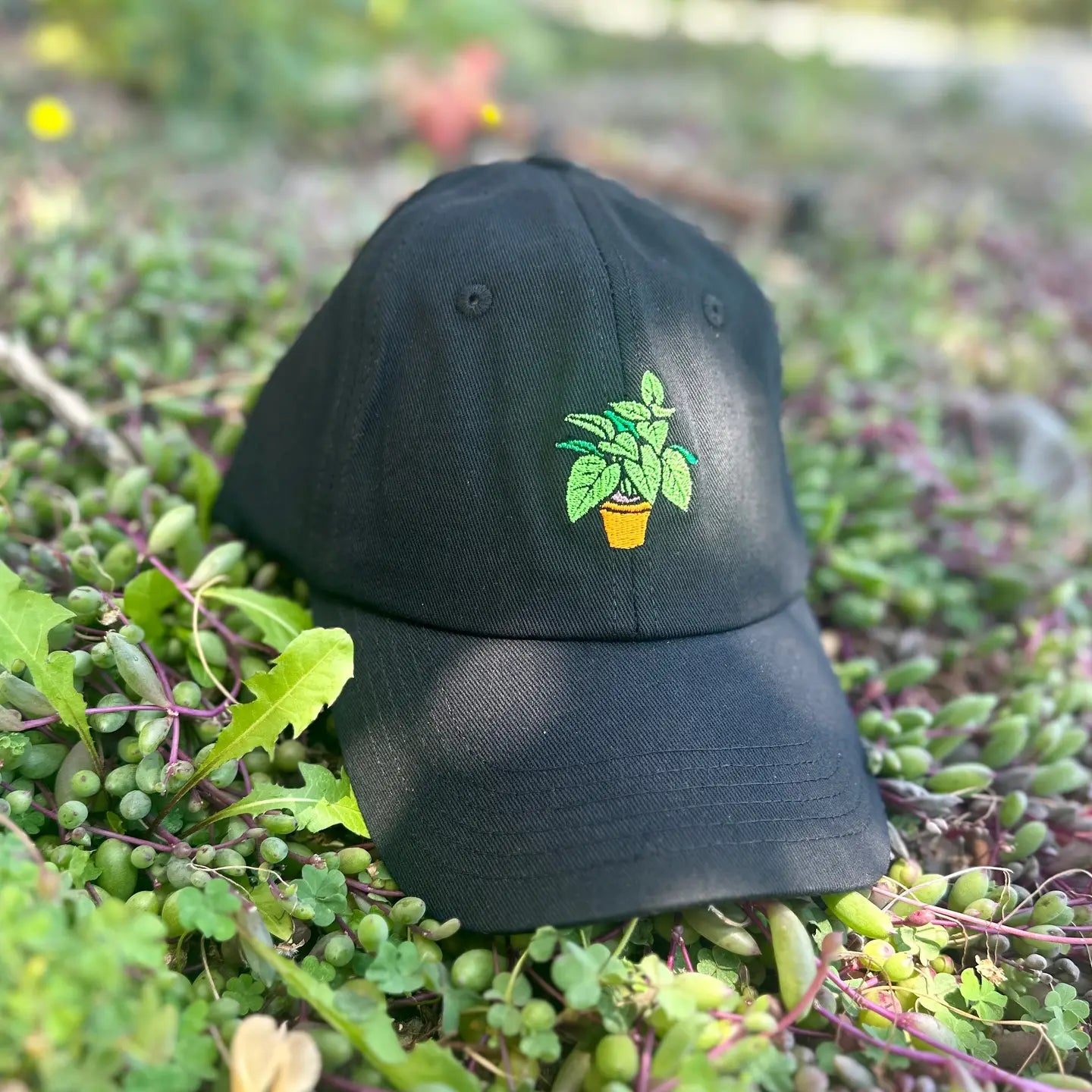 Potted Plant Embroidered Hat – Habitat Plants + Coffee